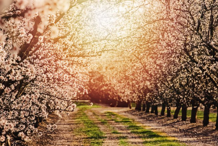 Alcohol Rehab near Modesto | Fair Oaks Recovery Center